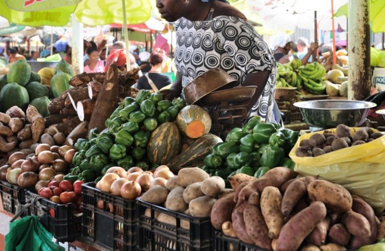 Farmers lament $2.34bn import bill, seek improved farm security ...