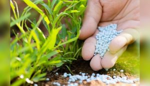 FG, IFDC sign pact to boost fertilizer access for Nigerian farmers ...