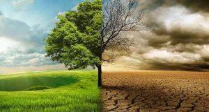 Climate action is increasingly a business imperative - Businessday NG