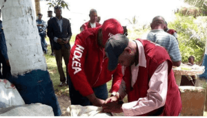 NDLEA busts Kano drug hotspots, arrests 52 suspects - Businessday NG