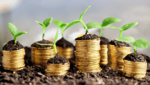 Sterling Bank pushes green finance agenda to transform Africa’s ...