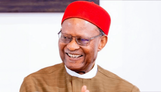 A glimpse into Chief Emeka Anyaoku's persona - Businessday NG