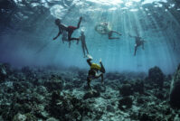 Meet the Bajau tribe, who can survive for several minutes underwater ...