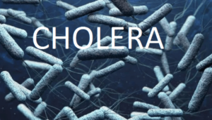 Zamfara records 1,500 fresh cases of cholera - Businessday NG