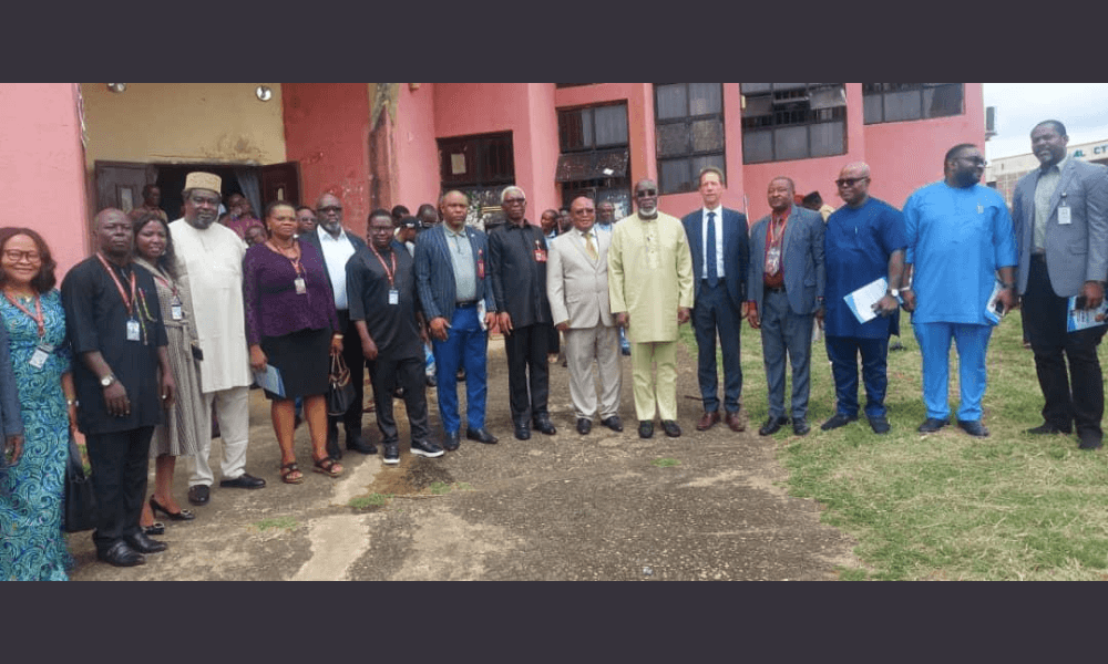 ESUT to partner German government on sustainable energy - Businessday NG