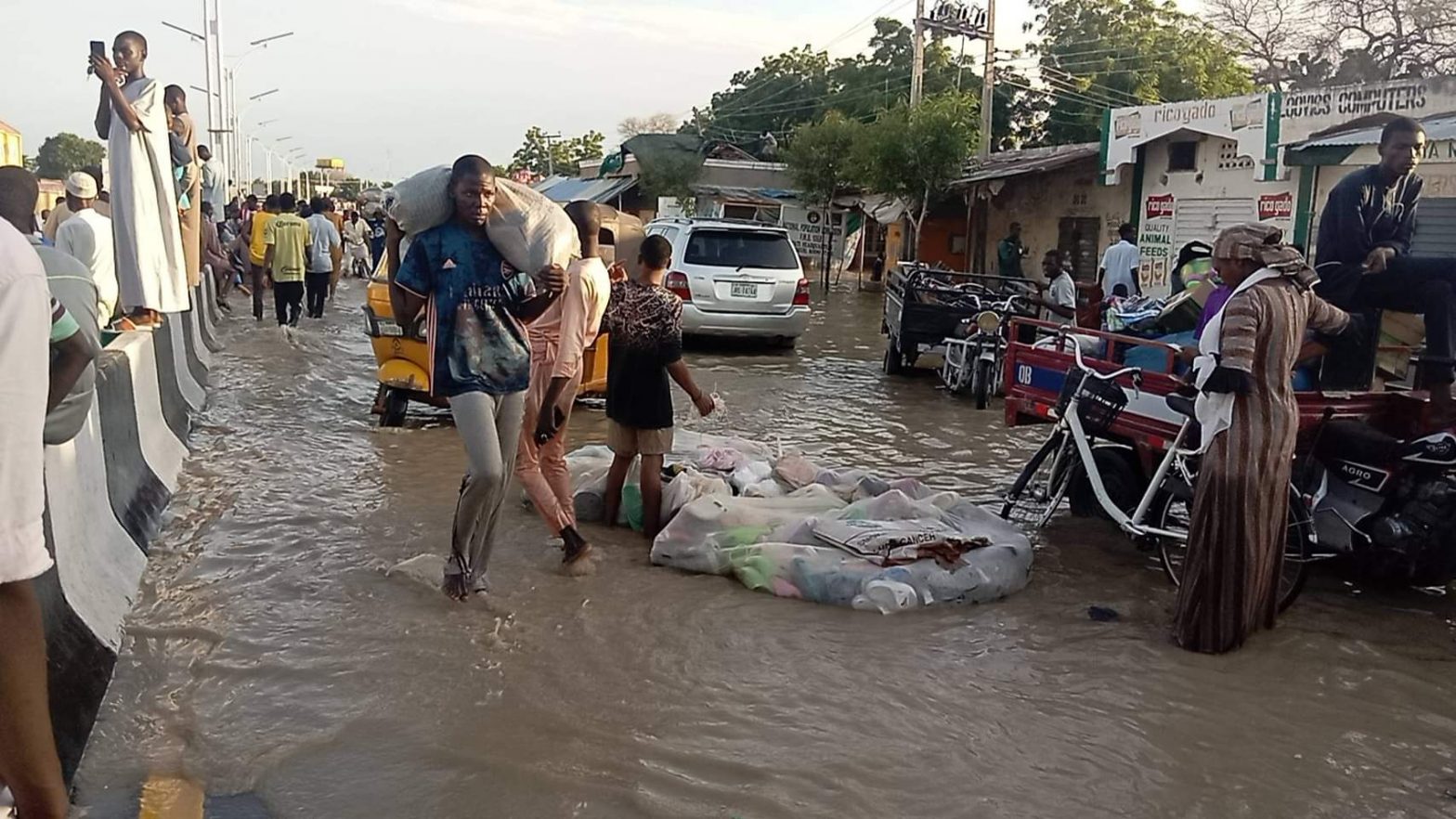 Borno govt orders closure of schools as flood ravages Maiduguri ...