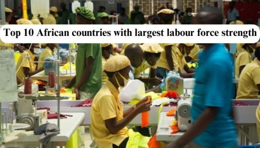 Top 10 African countries with largest labour force strength ...