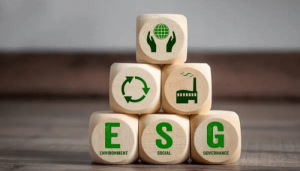 Nigeria moves toward mandatory ESG reporting by 2028 - Businessday NG