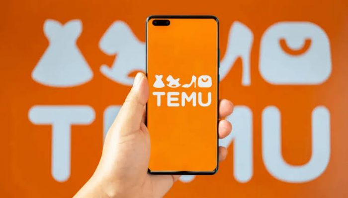 Temu’s global crackdown raises red flags for Africa’s e-commerce market ...