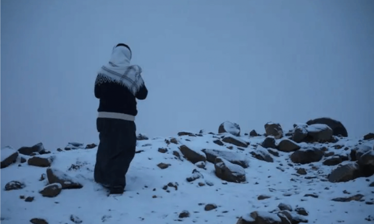 First-ever snowfall in Saudi Arabia desert - Businessday NG