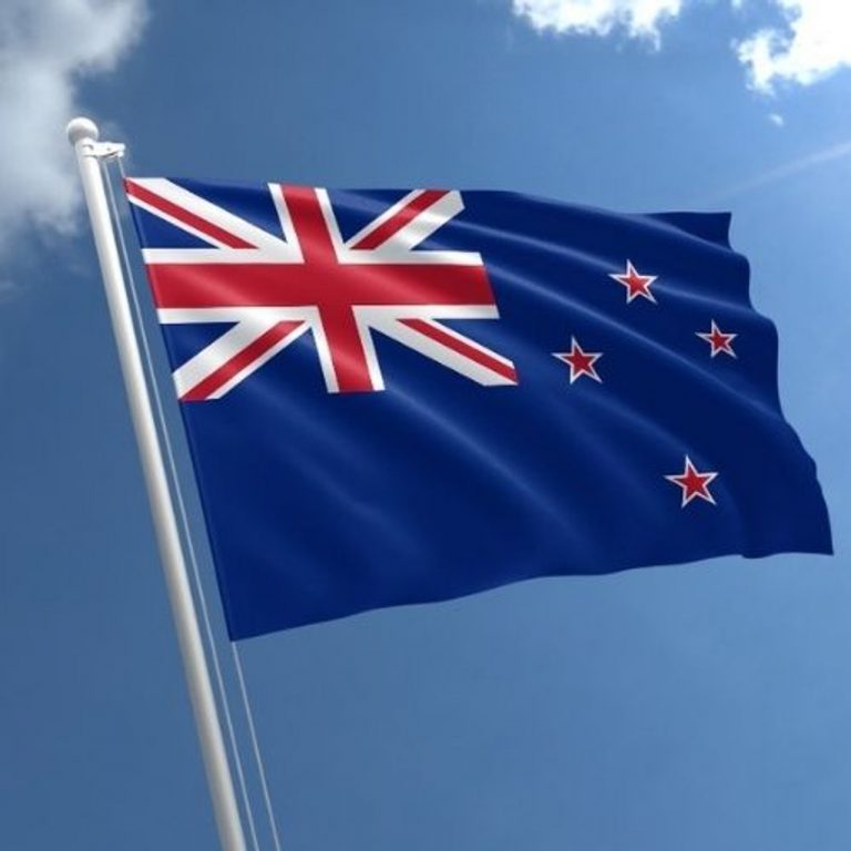 New Zealand introduces 6-month short-term graduate work visa ...