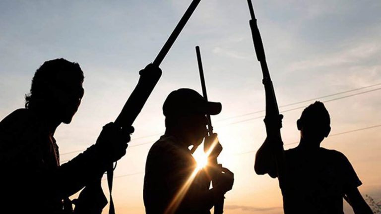 Gunmen abduct Ex-Power Minister Adelabu's sister, twin sons in Ibadan ...
