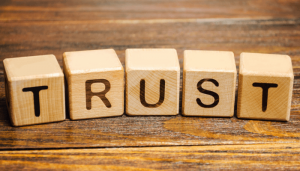 Trust is the infrastructure impact runs on - Businessday NG