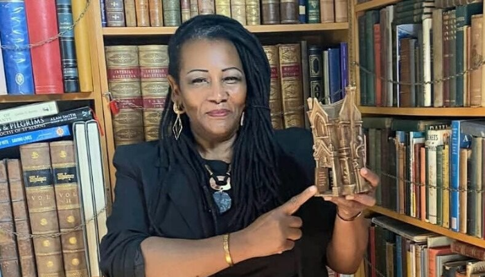 The Sleepless: Nuzo Onoh’s trail of African horror path - Businessday NG
