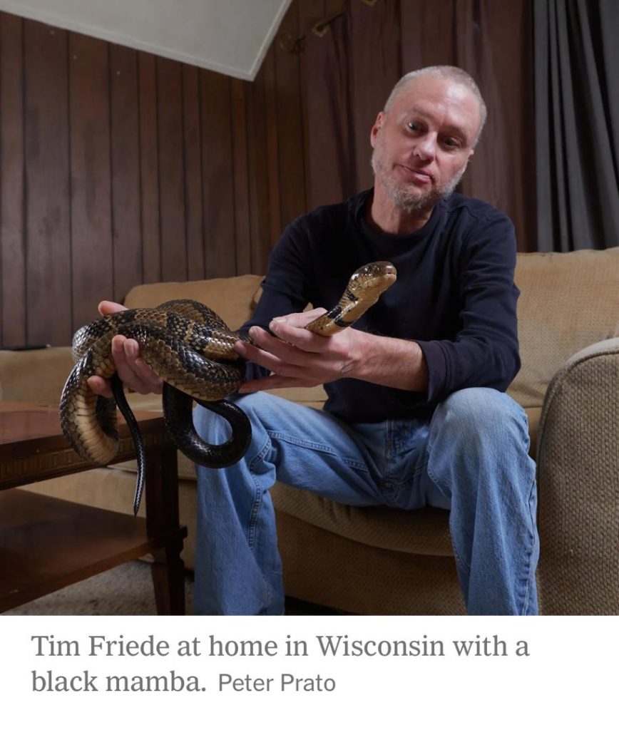 Man who let snakes bite him hundreds of times may hold answer to death ...
