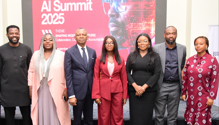 Nigeria must build capacity, infrastructure, trust to shape its AI ...