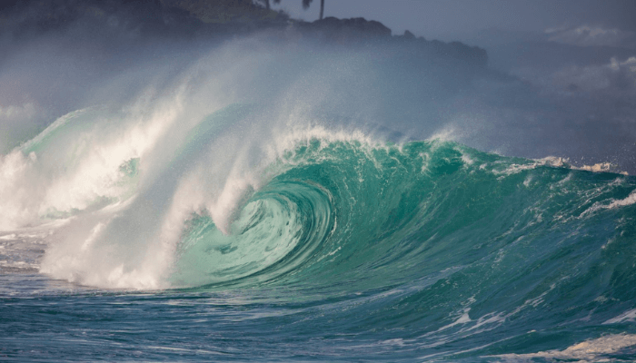 NASA’s SWOT satellite captures first full view of a tsunami in motion ...
