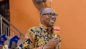 2027: NDC holds nationwide primaries today, to rectify Obi as party ...