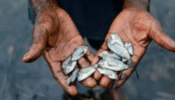 The rising concerns over oil pollution impact on public health in ...