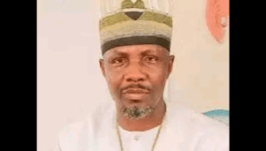 Constituency delineation-induced protests could trigger unrest in Niger ...